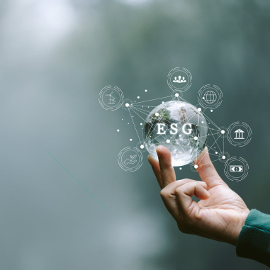 Fredensborg Kommune lancerer sin første ESG-rapport | ktc.dk